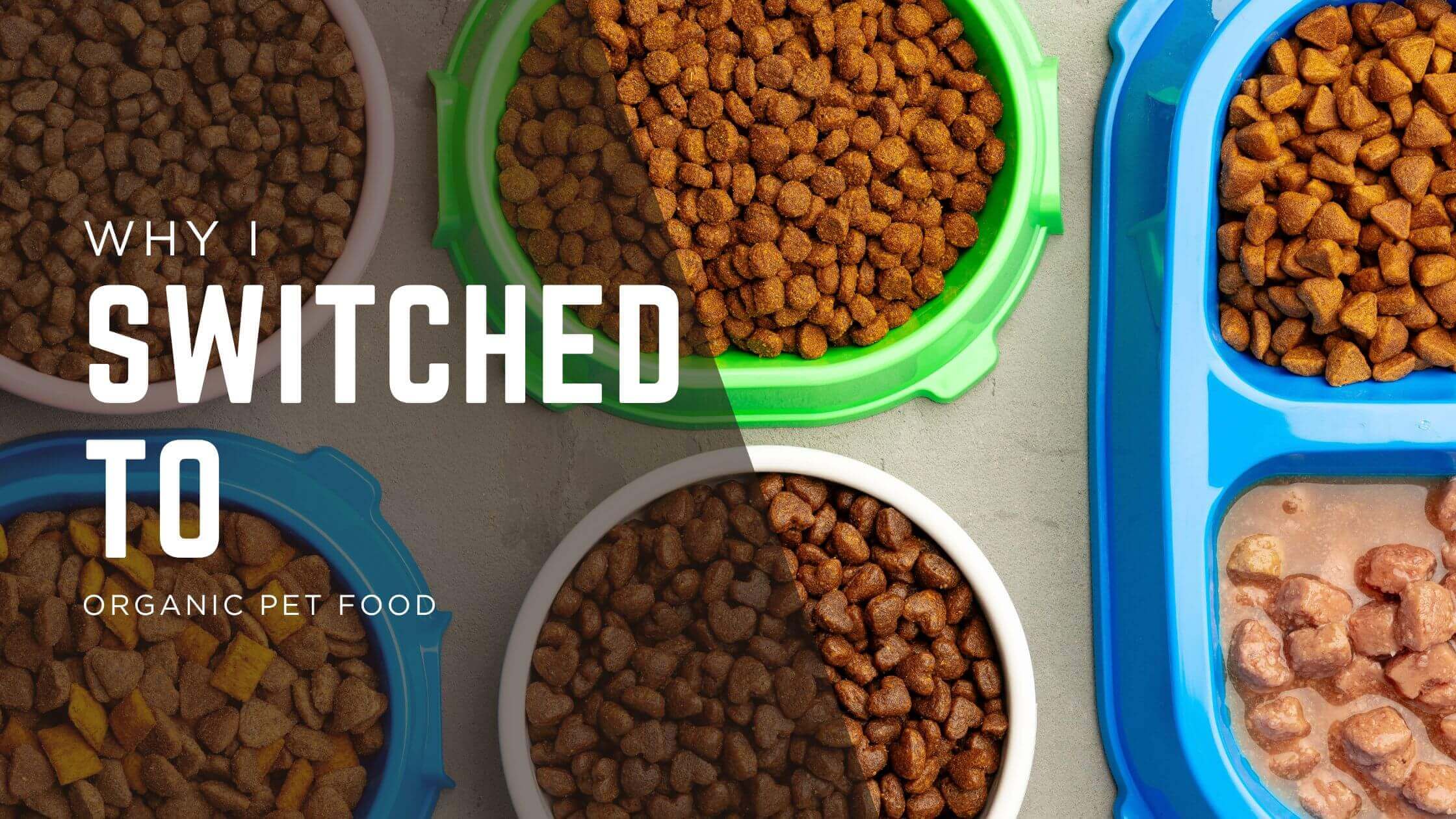 Why I Switched to Organic Pet Food – petcareland